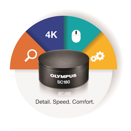 Olympus SC180 - Every Detail at Every Magnification